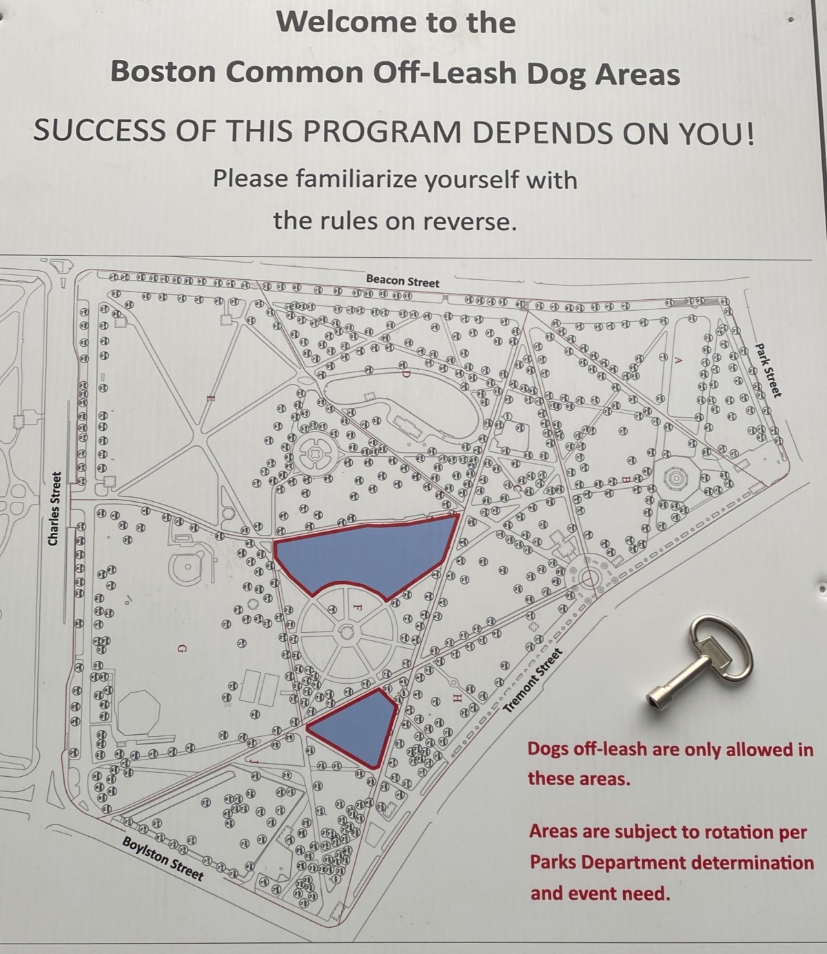 Common Canine | Friends of the Public Garden